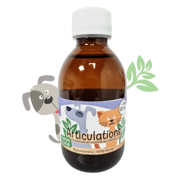 KasTete Franse Natuurlijke gewrichten siroop voor honden en katten ...